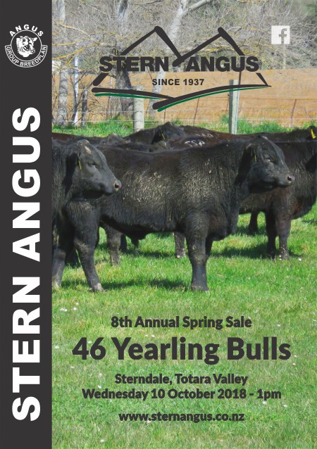 Stern Angus – We are a third generation Angus stud located in South ...