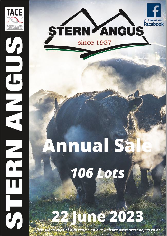 Stern Angus – We are a third generation Angus stud located in South ...